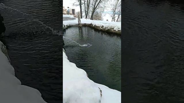 Заходи, купайся!