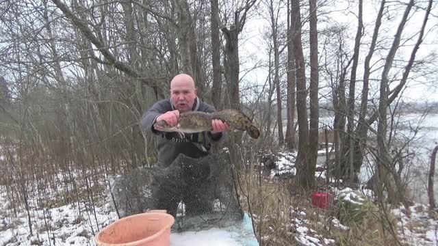 Друзья, я  знаю где раки зимуют и не только раки .Закрытие сезона.