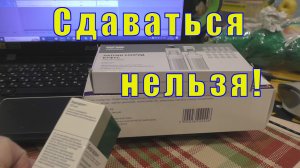 ШТИРЛИЦ ДОМОРОЩЕННЫЙ /СДАВАТЬСЯ НИ КАК НЕЛЬЗЯ/ 23 ноября 2023