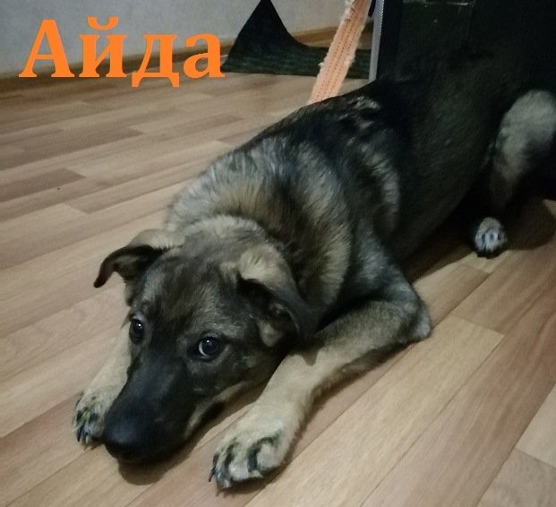 Айда с обновой__Челлендж.mp4