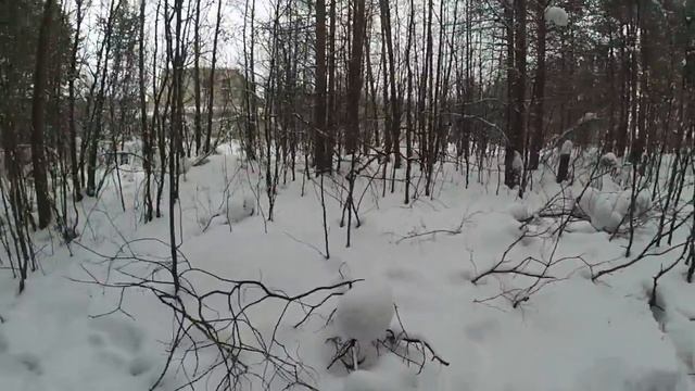 Новый влог на новую камеру. Влог #12