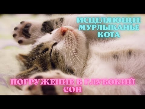 АСМР ЛЕЧЕБНОЕ МУРЧАНИЕ КОШКИ, ОТ БЕССОННИЦЫ, АНТИСТРЕСС.