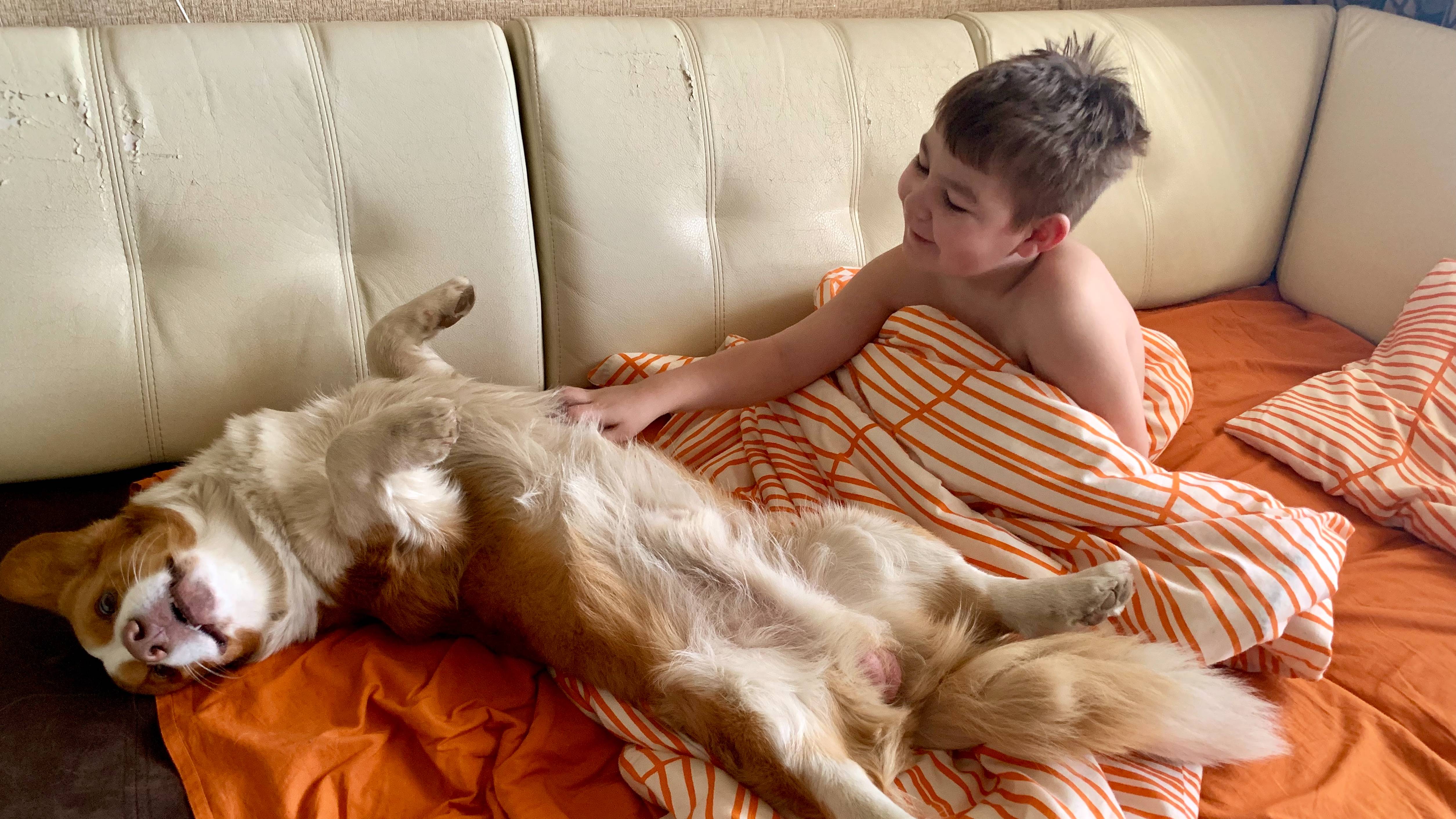 Лаврик: Все равно я тебя достану! Апрель 2019