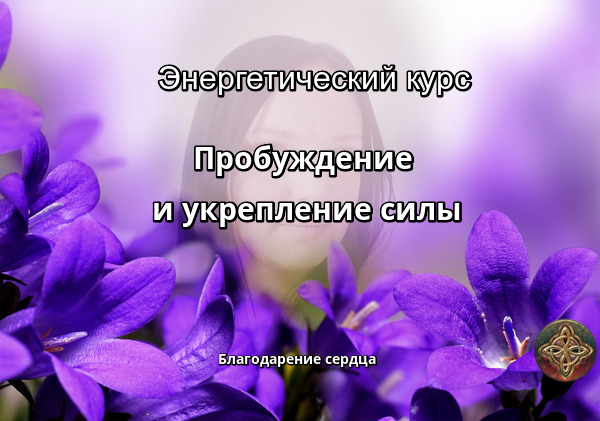 Энергетический курс ПРОБУЖДЕНИЕ И УКРЕПЛЕНИЕ СИЛЫ (ЖИЗНЕННАЯ СИЛА, СИЛА ВОЛИ, ПСИХИЧЕСКАЯ СИЛА)