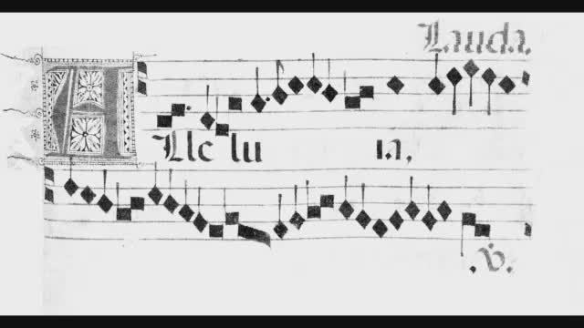 Alleluia. Tu es Crux fidelis