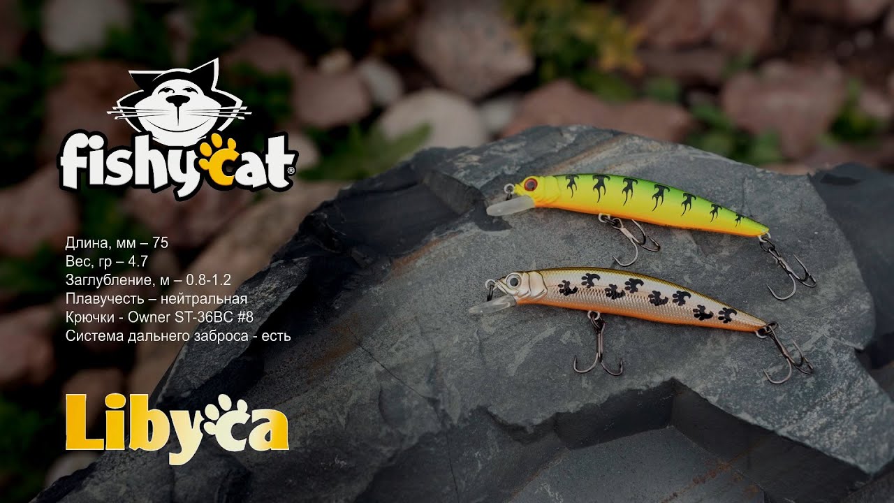 Fishycat Libyca 75SP - Техника и способы проводки