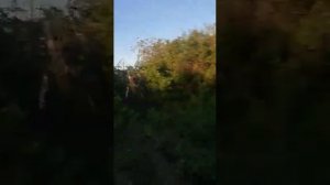 Гуляем по даче|Часть 3/3|Финальчик