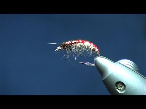 Мушка Gold Medal (Czech Nymph).