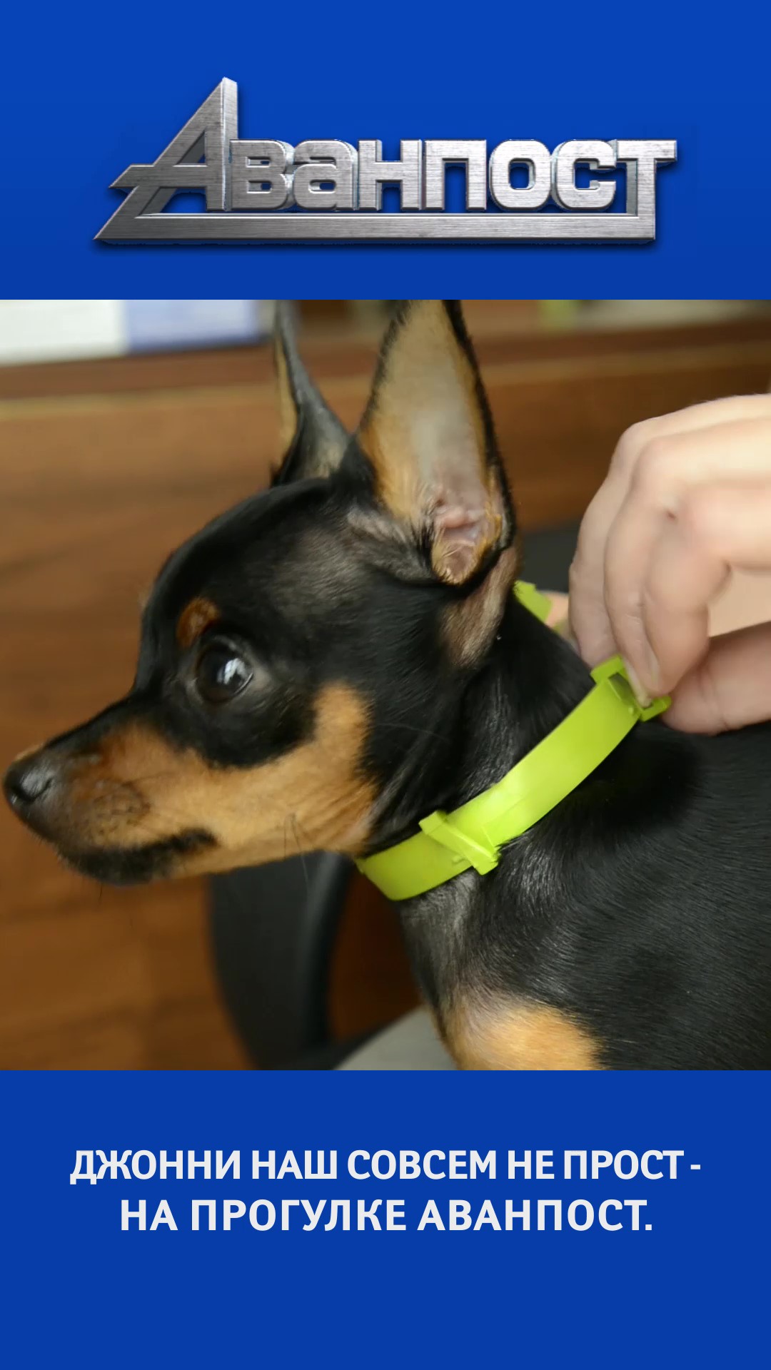 Пёсик Джон и Аванпост