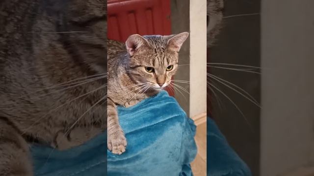 Мэгги "Мурзилкина" не даст Вам скучать! Приходите скорей за личным тренером !