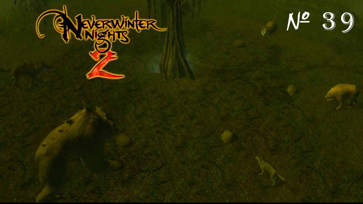 МИНУС КРУГ ▬ Neverwinter nights 2 # 39