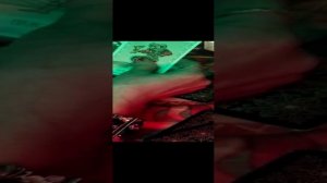 VID-20230313-WA0001.mp4