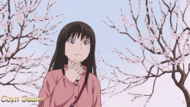 AMV  Noragami. Отдых в Европе