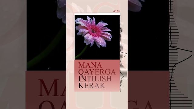 Абдуллох домла | Abdulloh domla - Xurlar haqida