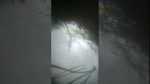 В рубашке родился.mp4
