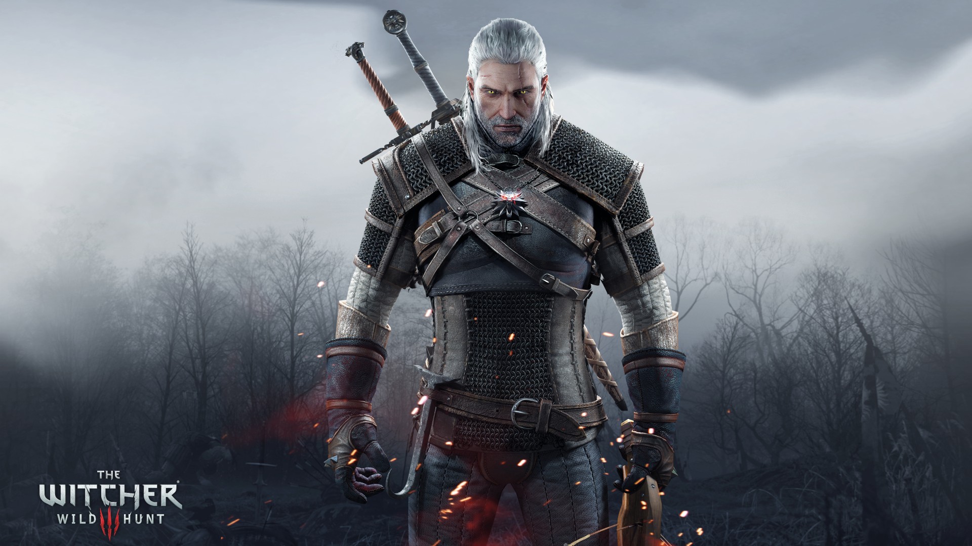 The Witcher 3 #3