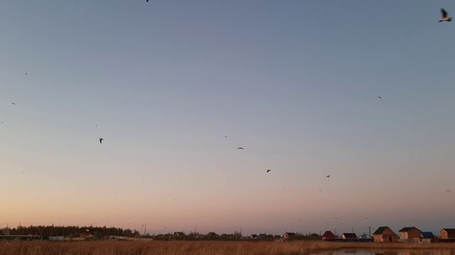 Отдых, рыбалка, поиски в Мархе