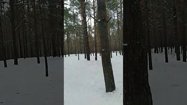 Жизнь в семье как в аду.