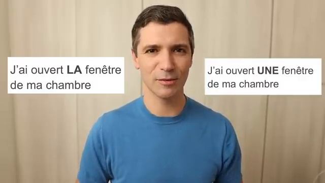 Article DÉFINI ou INDÉFINI Du A1 au C1