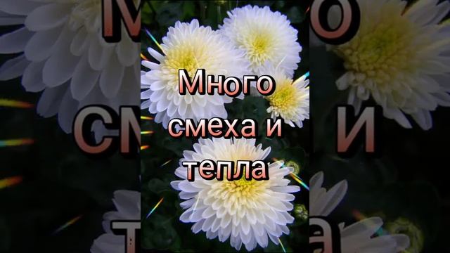 С днем рождения
