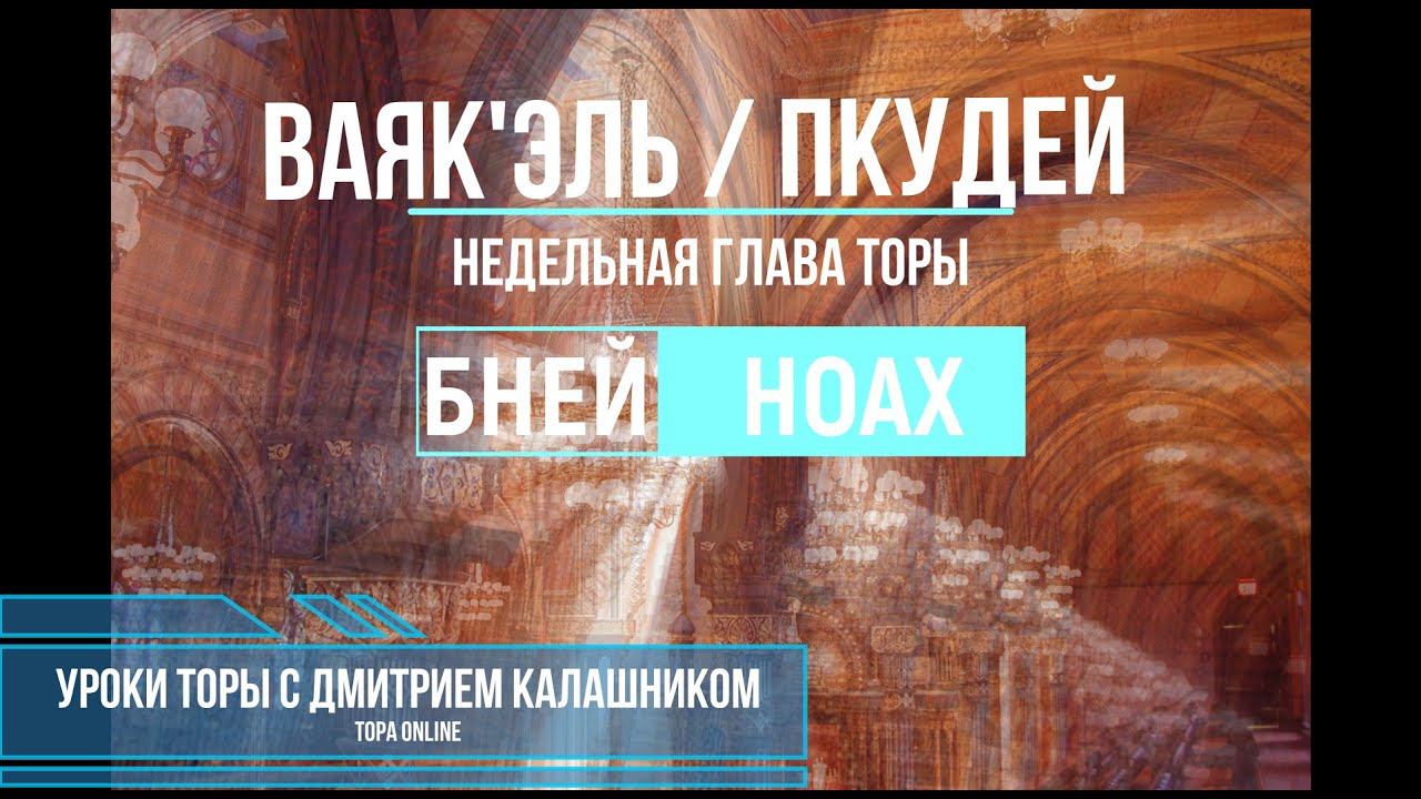 Недельная глава "Ваяк'эль" и "Пкудей" - урок Дмитрия Калашника.