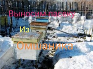 Выносим Пасеку из Омшаника, весенние работы на пасеке.mp4