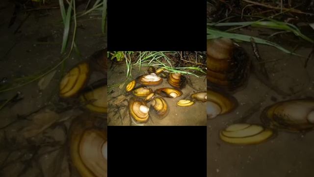 Кошмар на улице