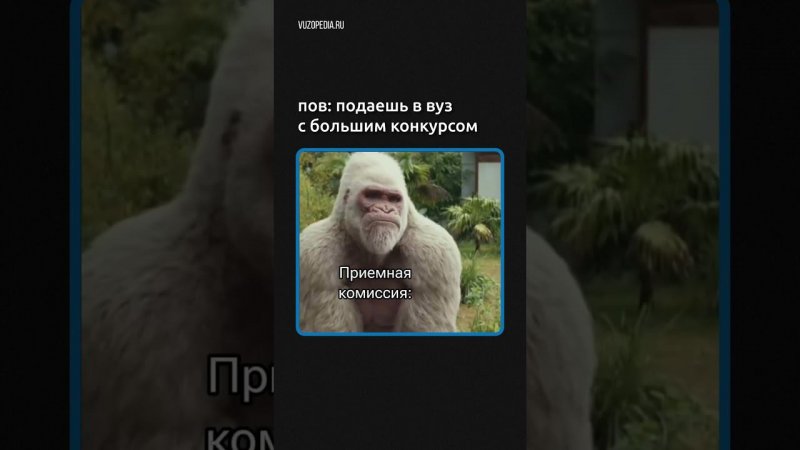 Ох уж эта приемная кампания  #вуз #универ #поступление #абитуриент #экзамены #бюджет #зачисление