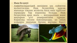 ТОКТАМЫСОВА С К  ЗООЛОГИЯ