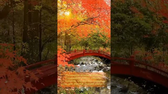 Создавайте всякие радости