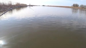 РЫБАЛКА В АСТРАХАНИ |2023| ОТОРВАЛСЯ ПО СУДАКУ! ЛОВЛЯ СУДАКА