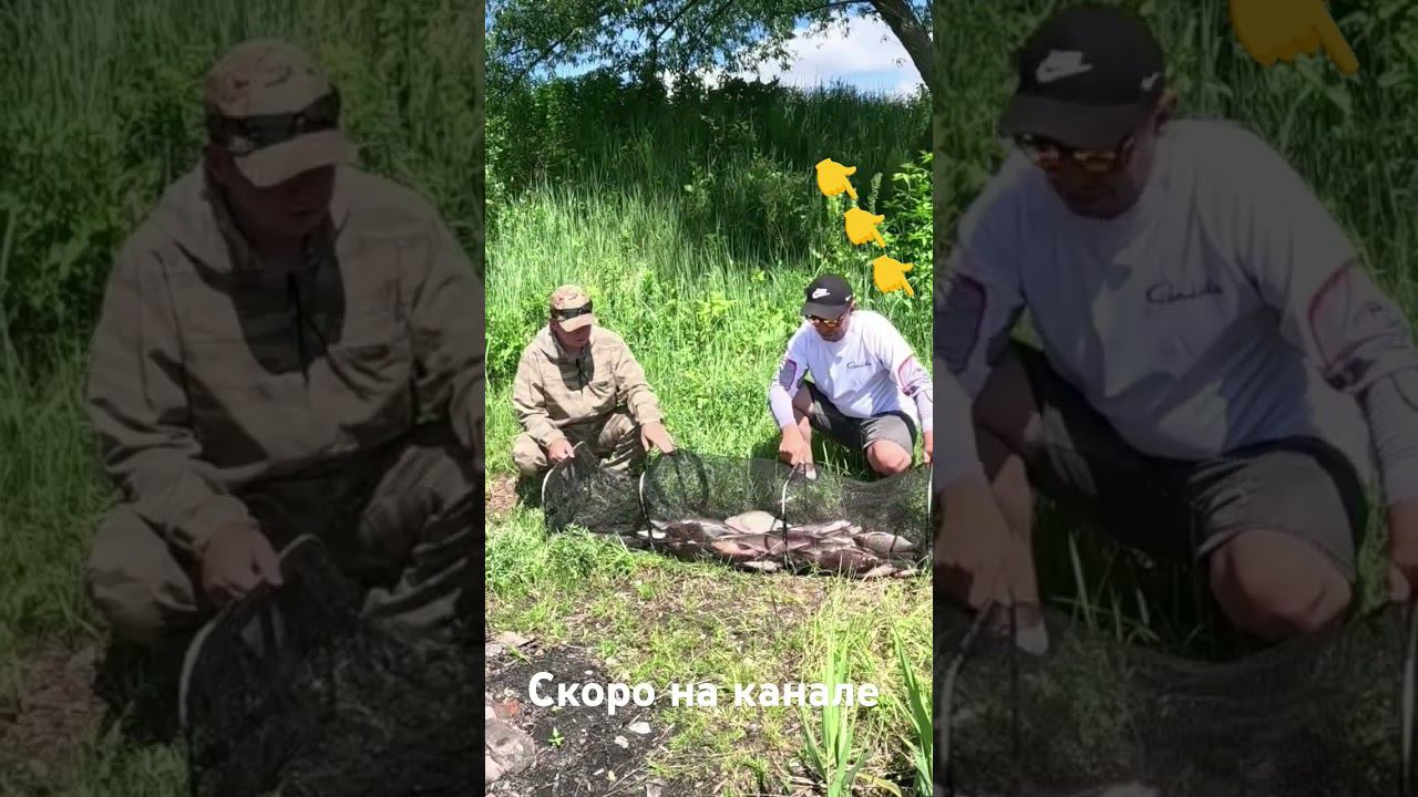 #shortvideo  #shorts  #fishing #рыбалка Рыбалка на леща