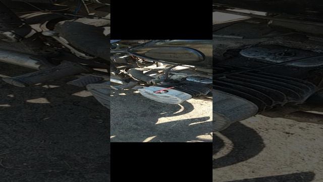 Касик после зимы