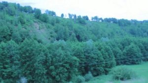 Природа Татарстана