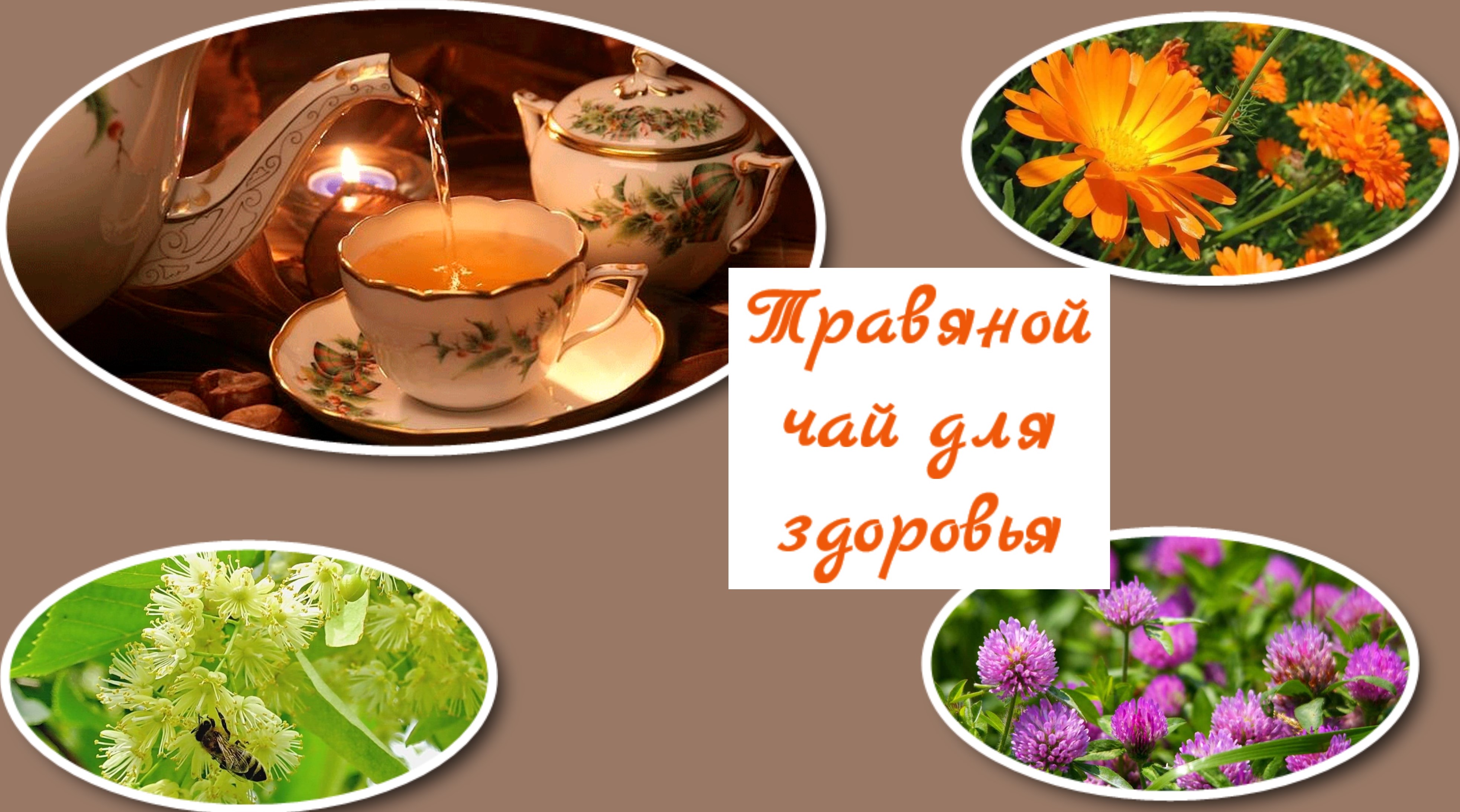 04.07.2023 Заготовка ???лекарственных растений.Таволга, облепиха, клевер, зверобой, тысячелистник