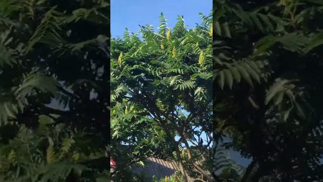 Это переулок Кромской в Бежицком районе города Брянска!!!