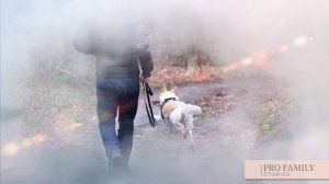 универсальный шаблон 8