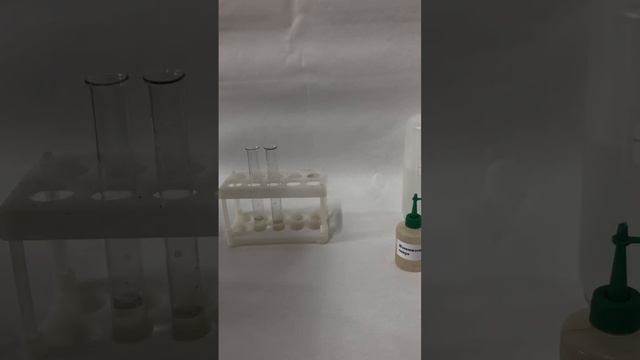 Опыт  №1. Растворимость спиртов в воде