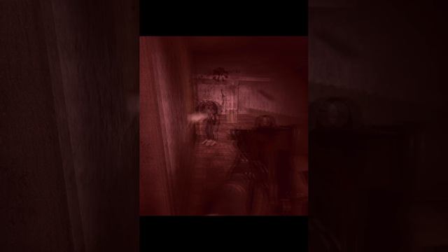 ☢️ Бандит потерял оружие - S.T.A.L.K.E.R. Anomaly (4.2) - Shorts (NPC WOUND TWEAK)