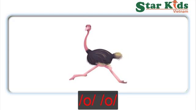 Letter O
