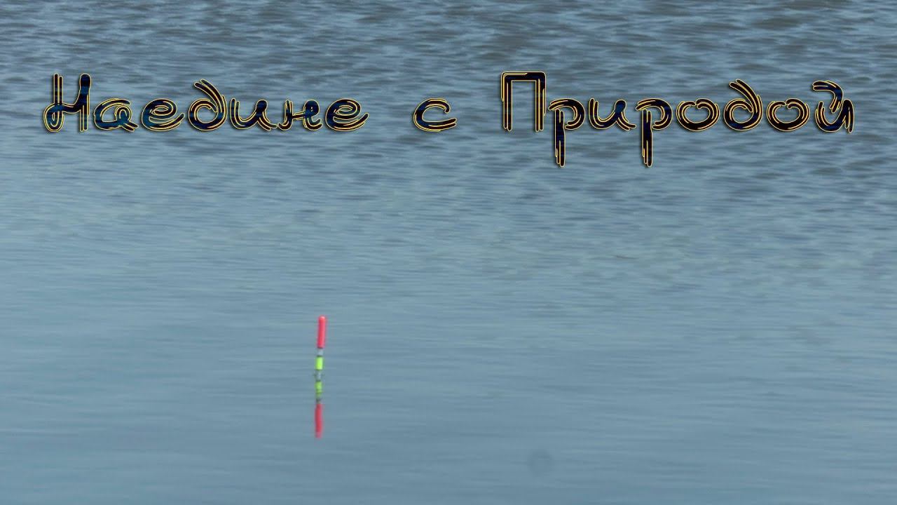 Только Поплавок и Звуки Природы//Релакс