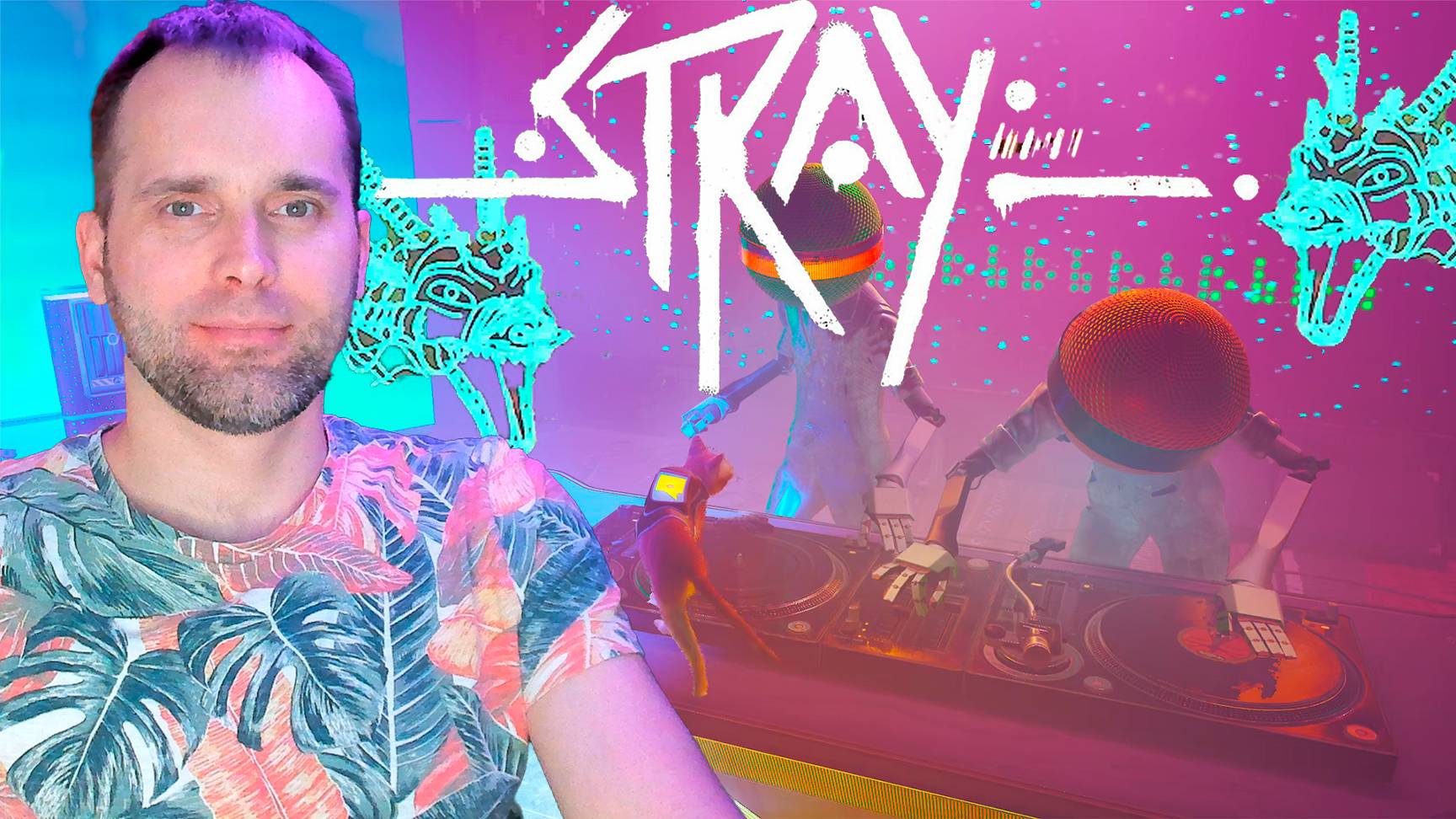 DJ КОТ В МЕСТНОМ ДИСКО КЛУБЕ ► STRAY #6