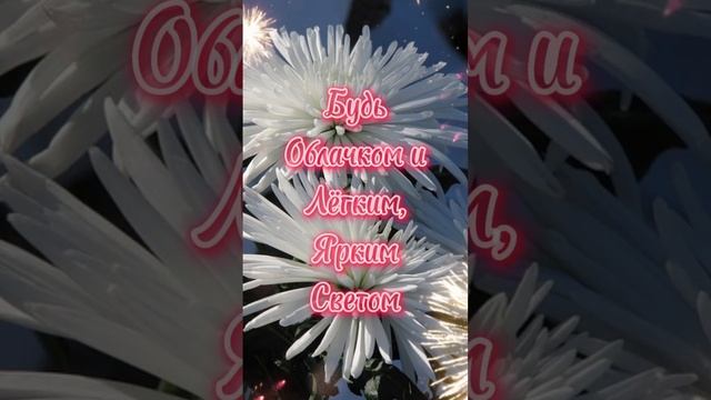 Светланка с днём рождения