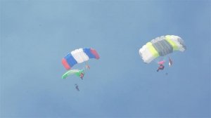 о сбережении лесов России