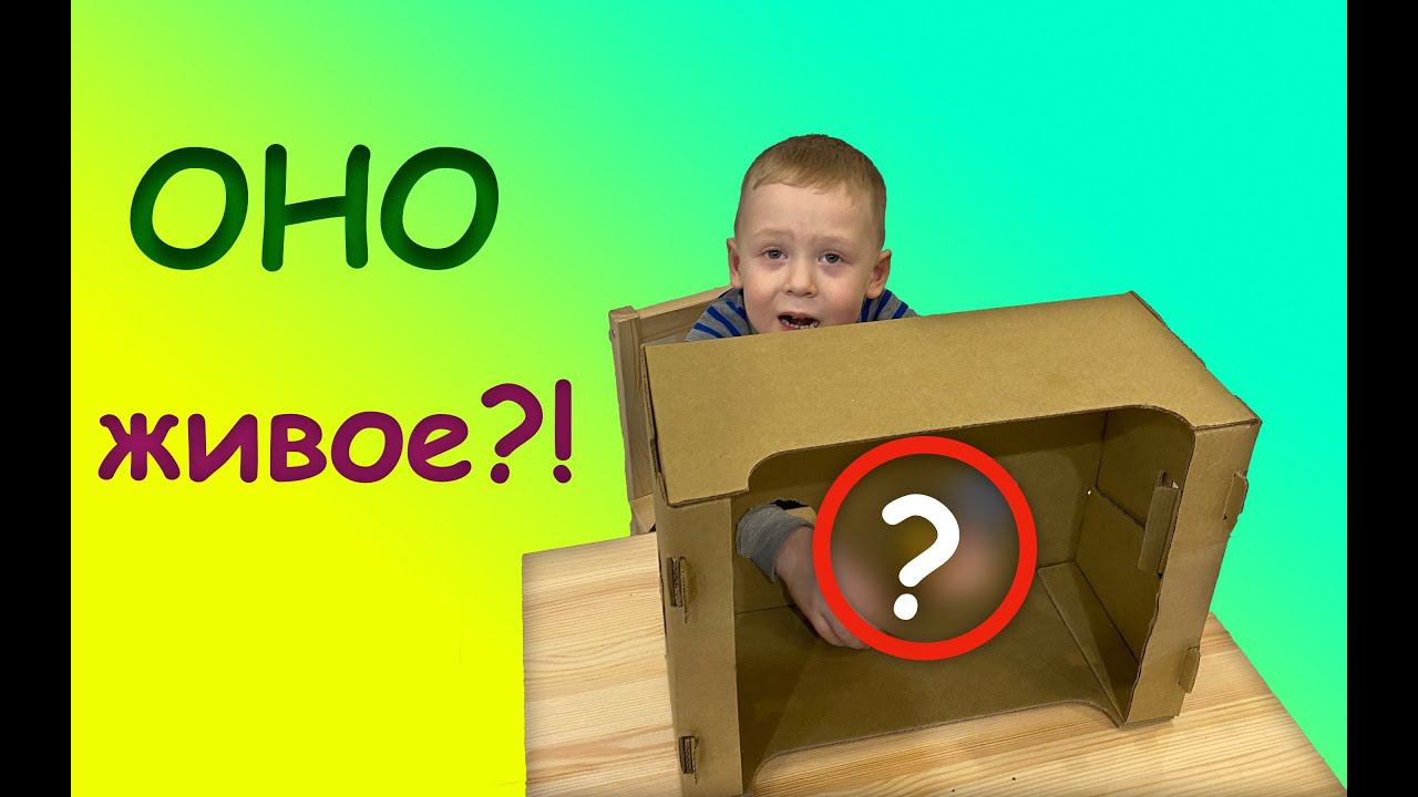 УГАДАЙ НА ОЩУПЬ что в коробке - челендж