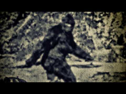 5 CREEPY BIGFOOT ENCOUNTERS Bigfoot, Sasquatch What Lurks beneath
