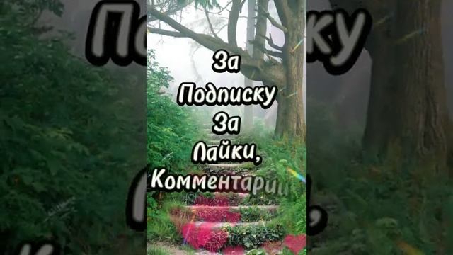 Моим подписчикам