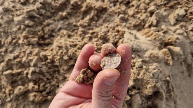 интересные находки с металлоискателем PANDA-M1