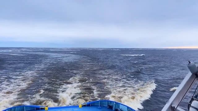 Таможенная служба в Арктике. Июнь 2021