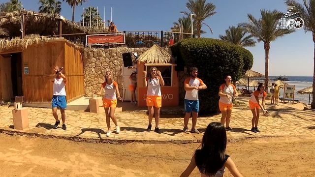 Шарм эль Шейх. Tamra Beach Resort. Утро